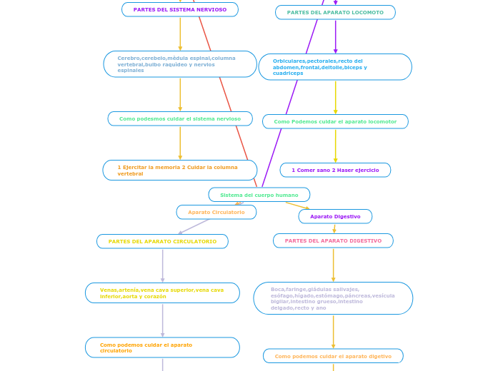 Sistema del cuerpo humano - Mind Map